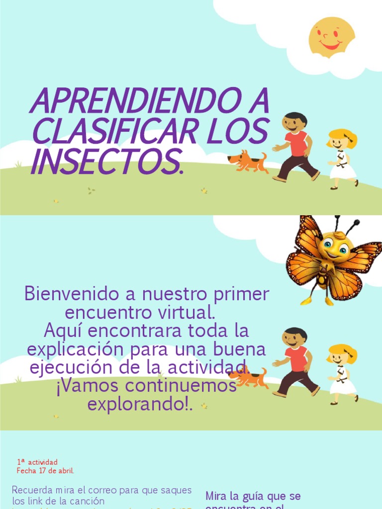 Cartilla de Los Insectos Con Link | PDF | Insectos