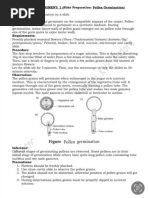 CFU Formulae With Correction Table | PDF