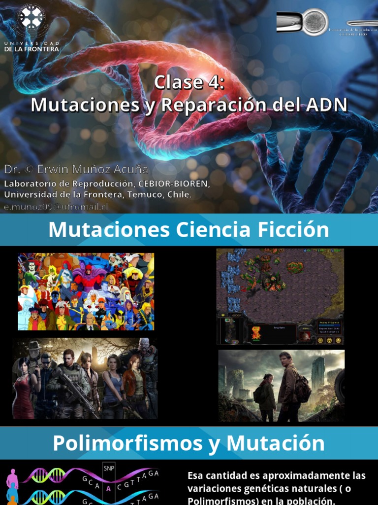 Clase 4 - Mutaciones y Reparación Del ADN | PDF | Mutación | Mutageno