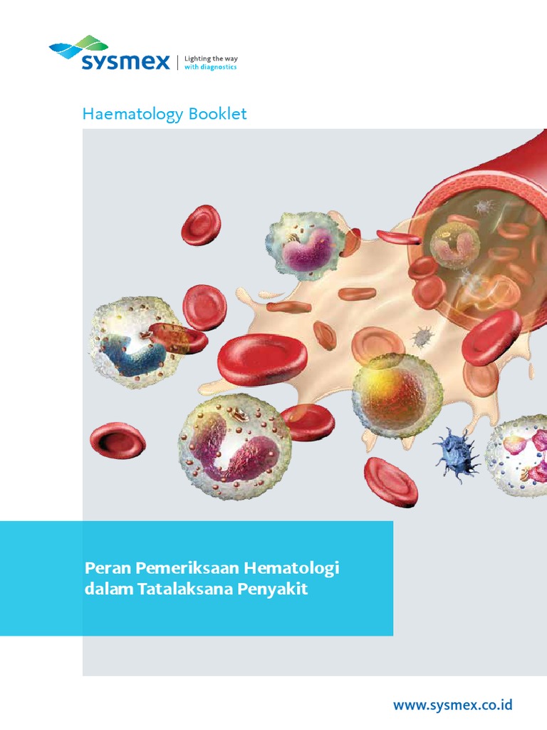 Haematology Disease Booklet | PDF