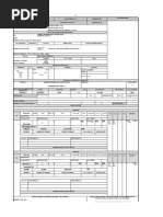Formato de Pedimento Aduanal Completo | PDF | Industrias de servicio ...