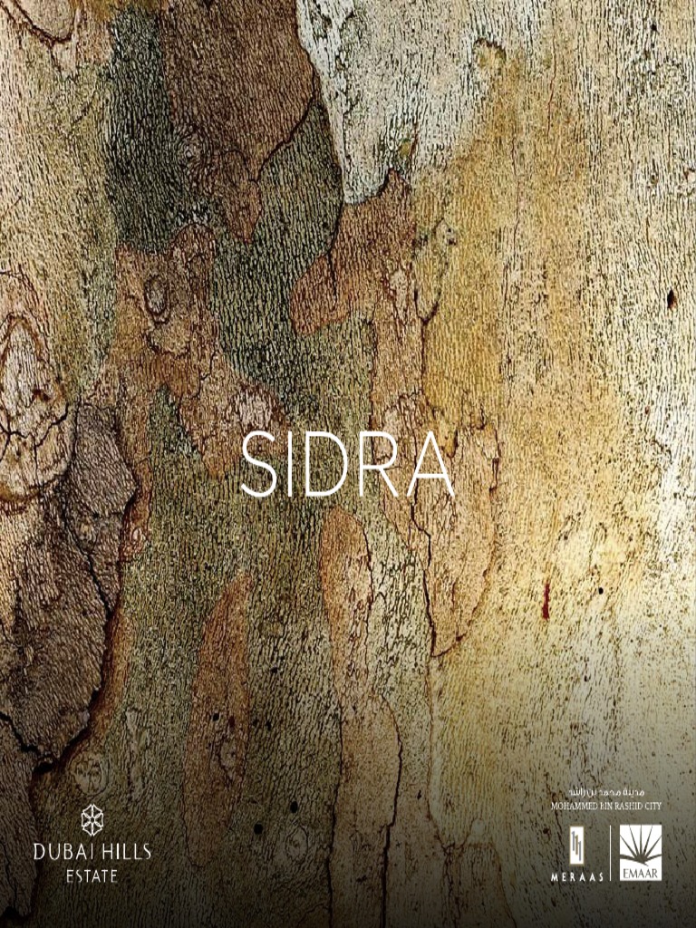 Sidra | PDF