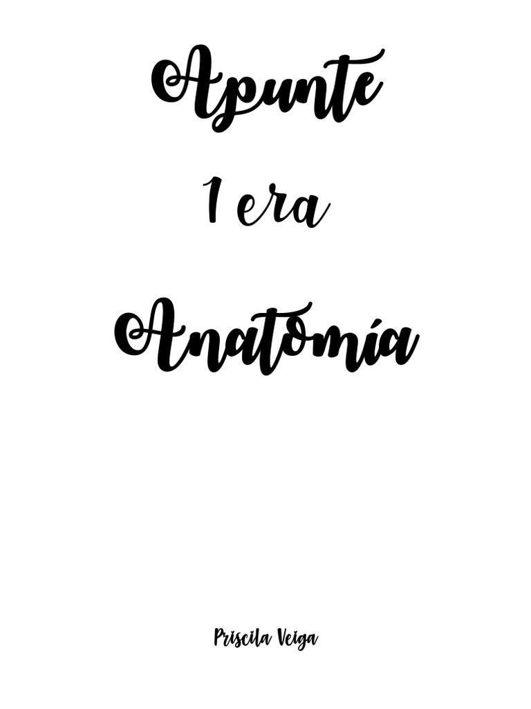 Anatomia 1 Era Descargar Gratis Pdf Vértebra La Columna Vertebral