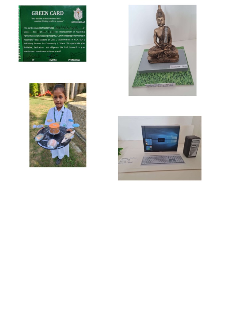 Aaru project 1 | PDF