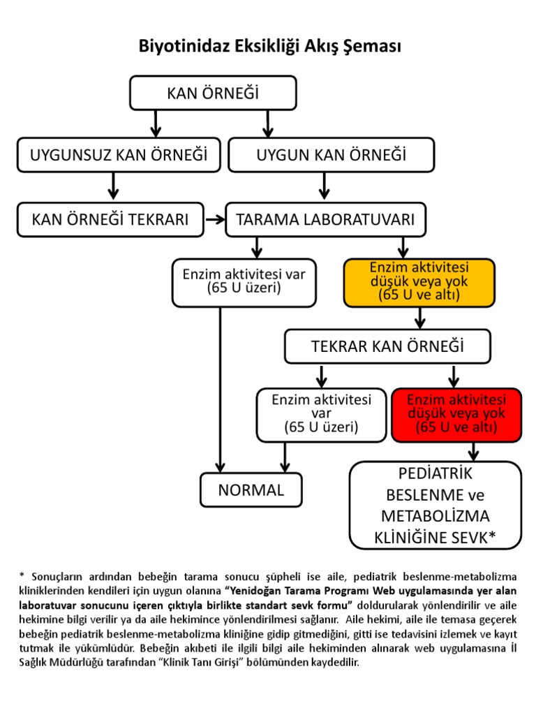 BIO Akis Semasi | PDF