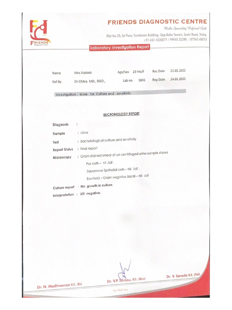 First Trimester Scan Report | PDF