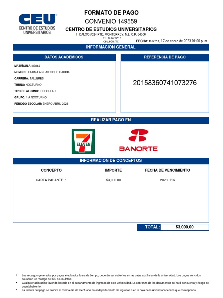 Formato Pago Seven | PDF