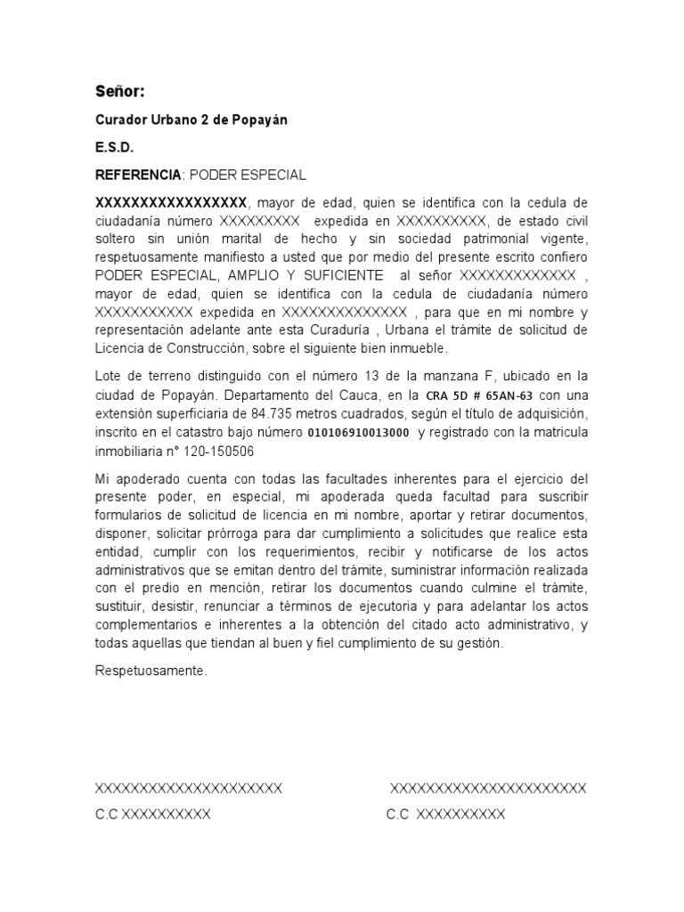 Poder Curaduria | PDF