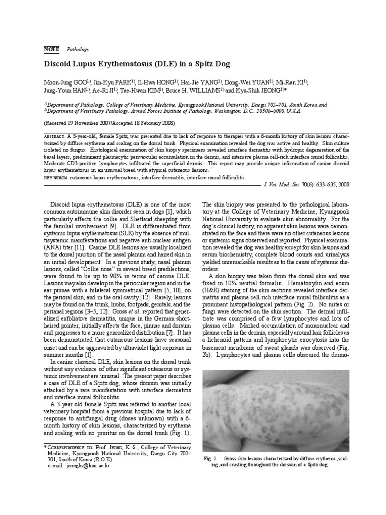Discoid Lupus Erythematosus (DLE) in A Spitz Dog | PDF | Skin | Epidermis