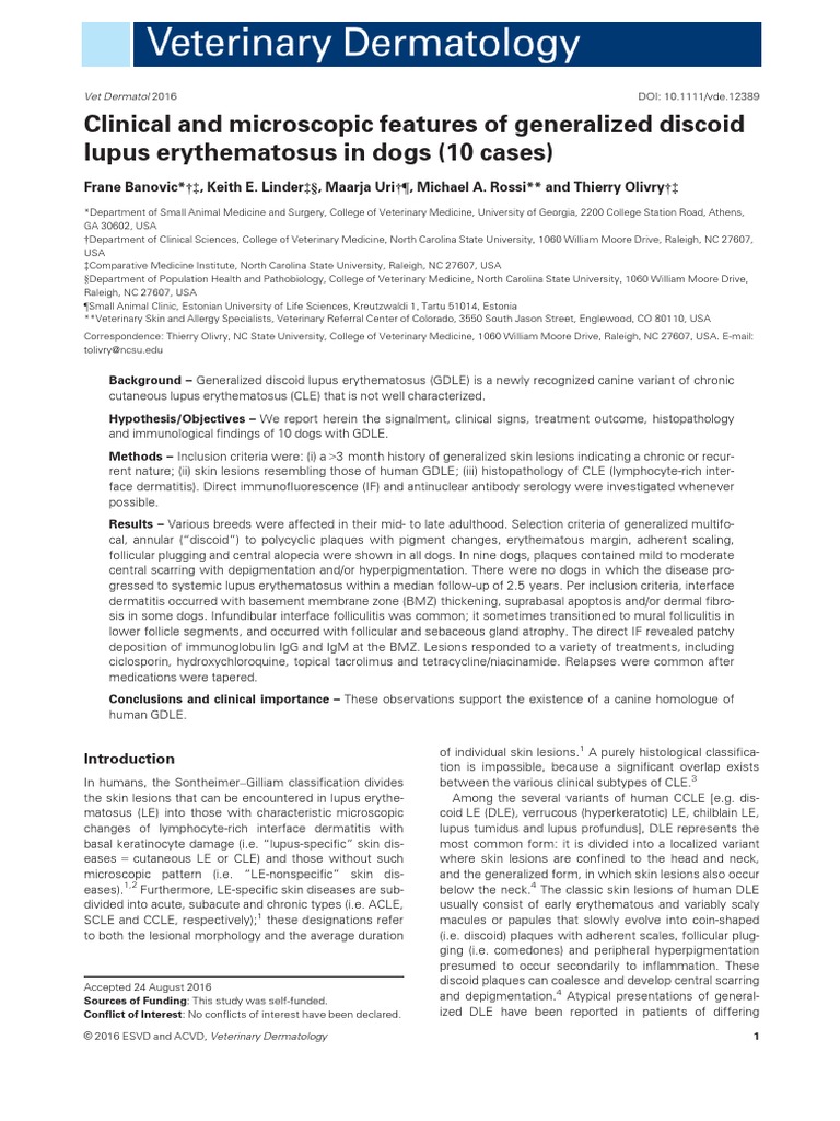 Generalized Discoid Lupus in Dogs: 10 Cases | PDF | Epidermis | Hair Loss