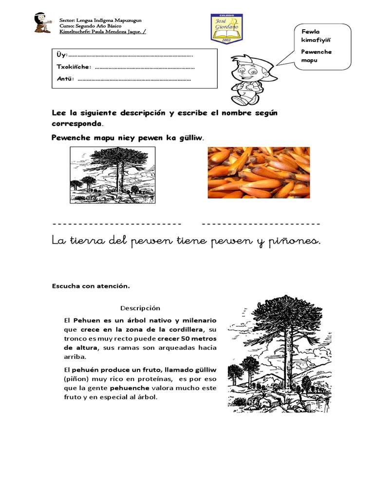 guia pewen mapu 2° año | PDF | Pueblos Indígenas de las Américas | Plantas