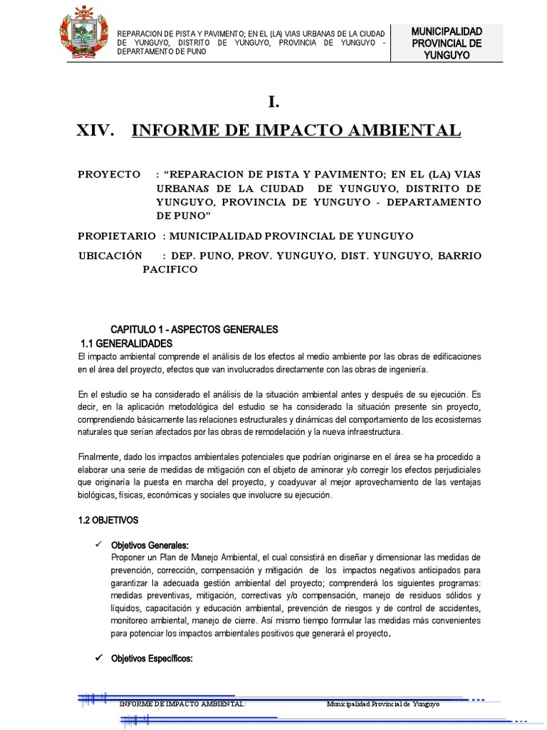 14.0. Informe de Impacto Ambiental | PDF | Evaluación de impacto ...