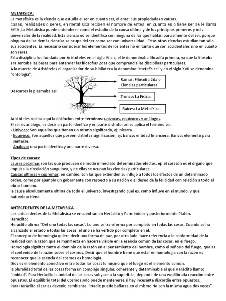 METAFISICA | PDF | Metafísica | Teoría de sustancias