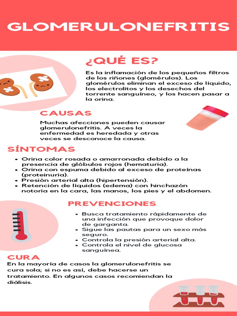 Glomerulonefritis infografía | PDF