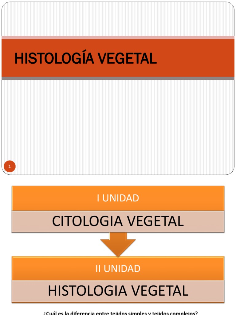 II Histologia Vegetal | PDF | Anatomía | Microscopía