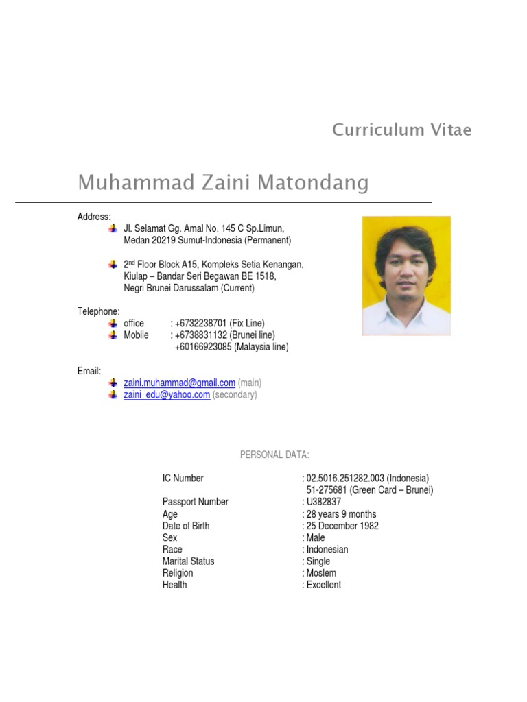 Muhammad Zaini Matondang: Curriculum Vitae | PDF | Artificial Neural Network | Teaching Mathematics