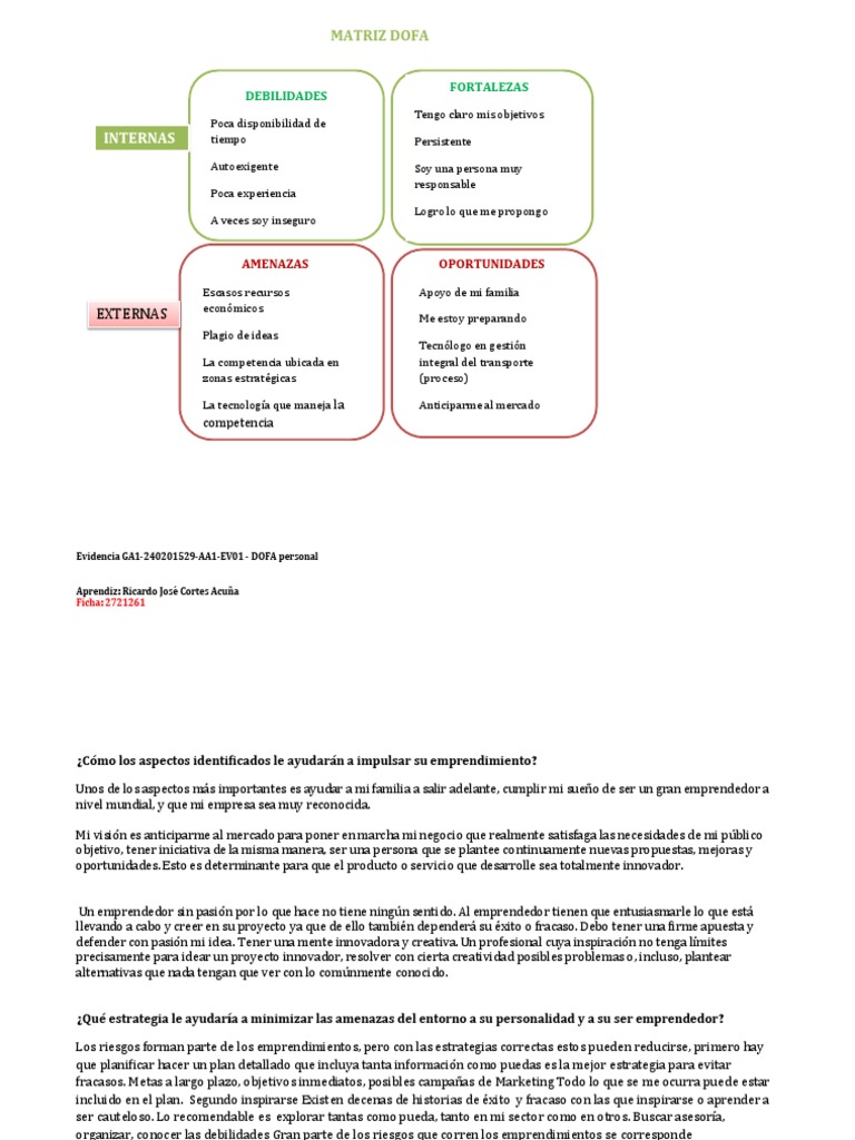 Matriz Dofa Rjca | PDF | Análisis FODA | Iniciativa empresarial