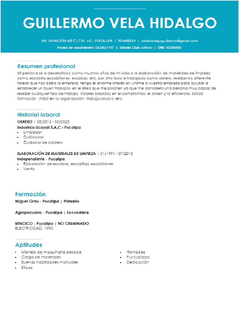 CV Guillermo Vela | PDF | Gobierno