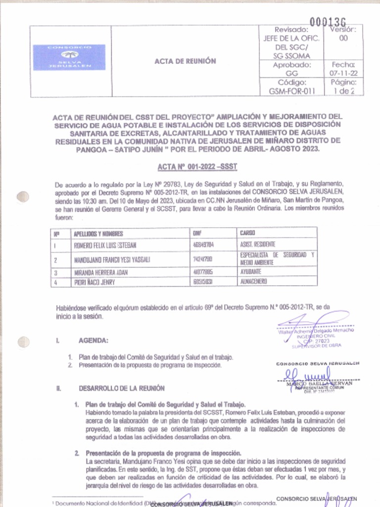 Acta de Conformacion de Comite | PDF