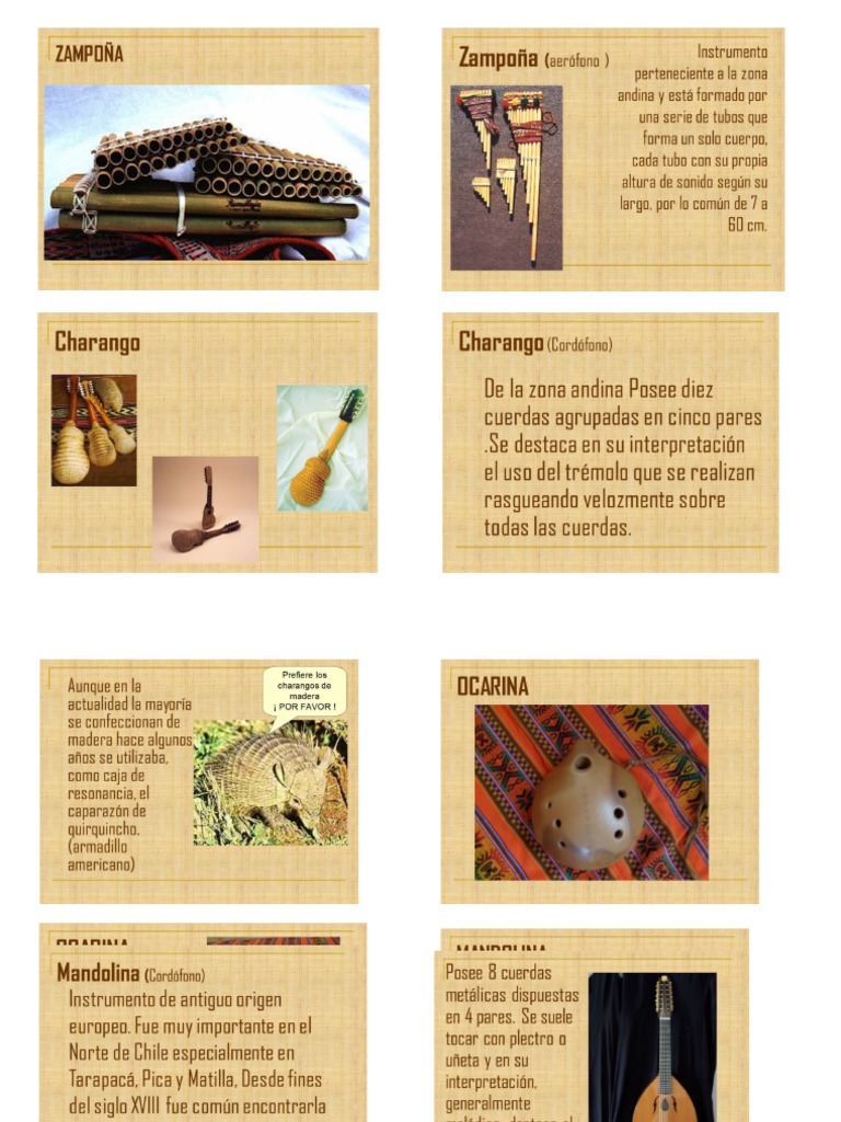 Instrumentos Latinoamericanos 1 | PDF