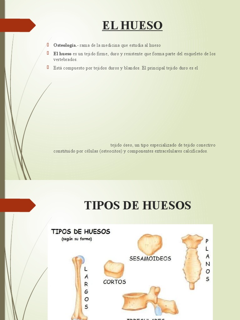 El Hueso | PDF