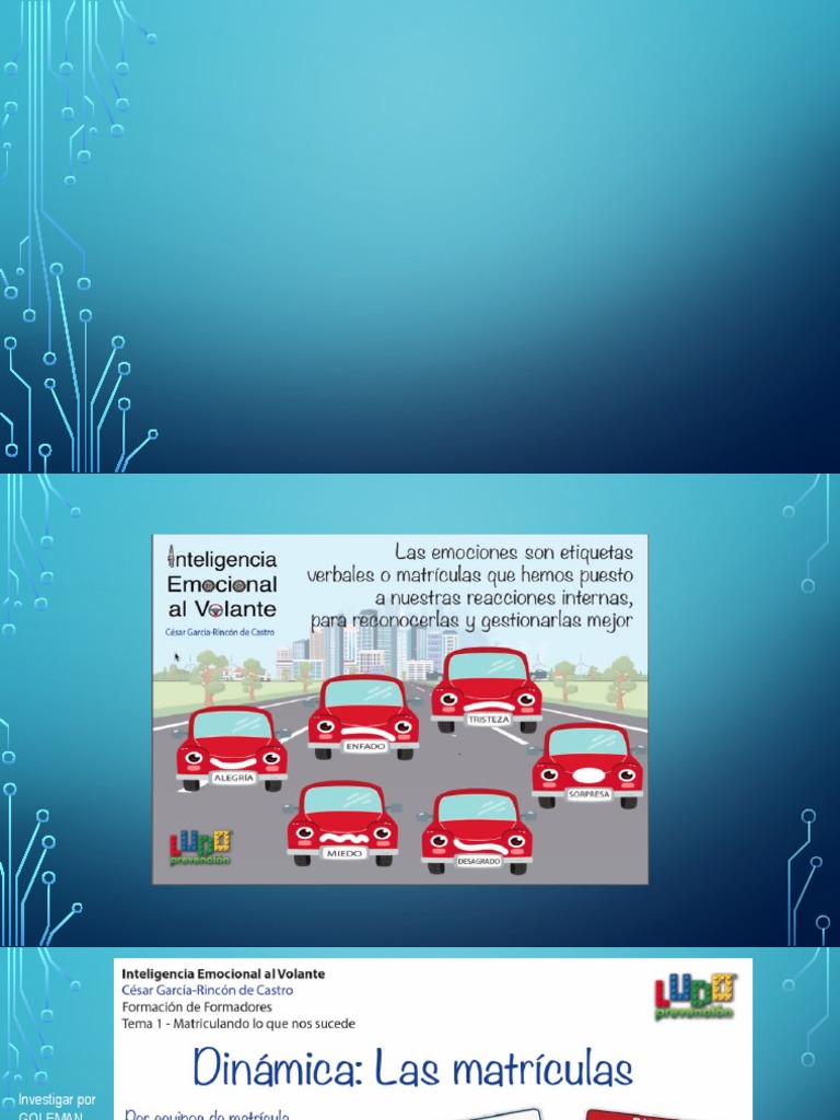 Inteligencia Emosional Al Volante | PDF