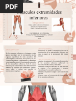 Anatomía de los músculos del muslo | PDF | Rodilla | Anatomía del ...
