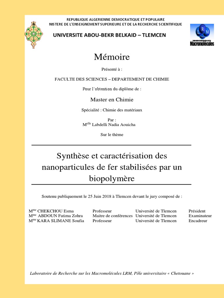 Nanoparticules de fer et biopolymères | PDF | Fer | Hydroxyde