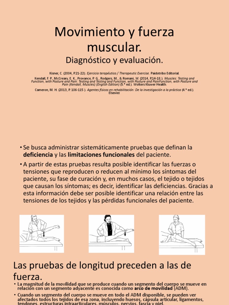 Pruebas de Fuerza Muscular y Movimiento | Descargar gratis PDF ...
