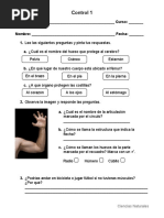 Prueba 2° Básico Mi Cuerpo Ciencias Naturales | PDF | Pulmón | Corazón