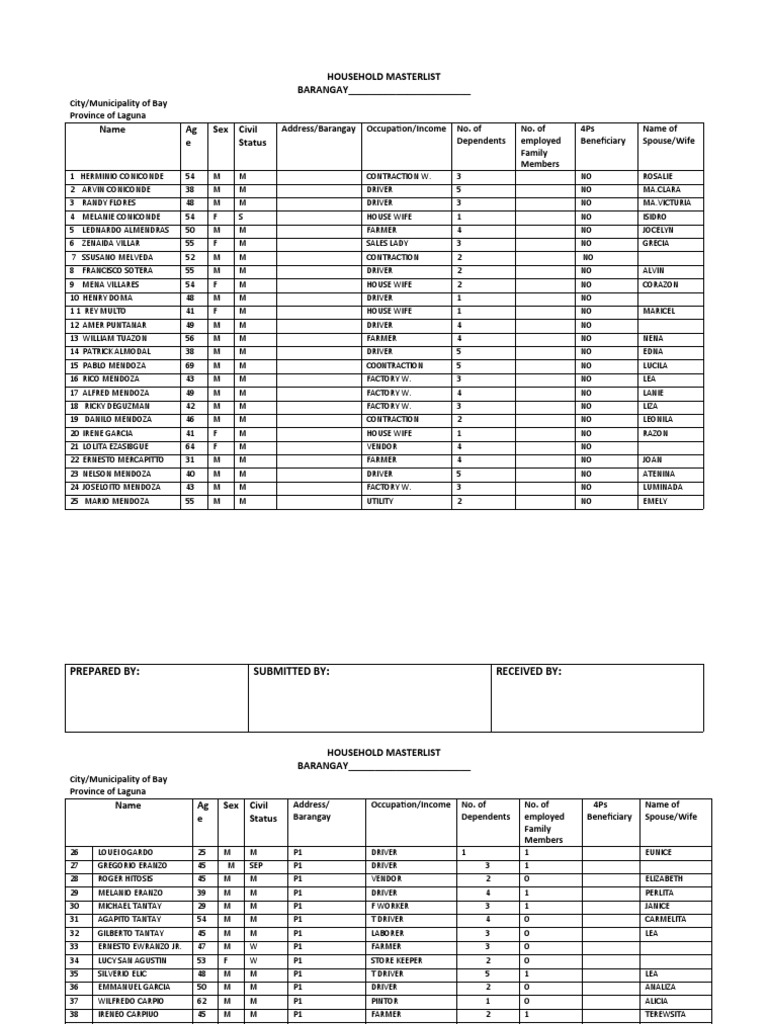 Household Masterlist Final | PDF