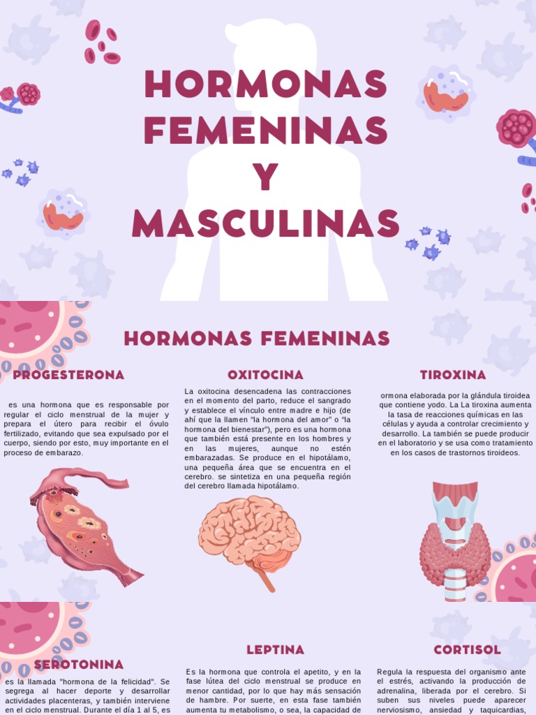 Hormonas Femeninas y Masculinas | PDF | Andrógino | Hormona