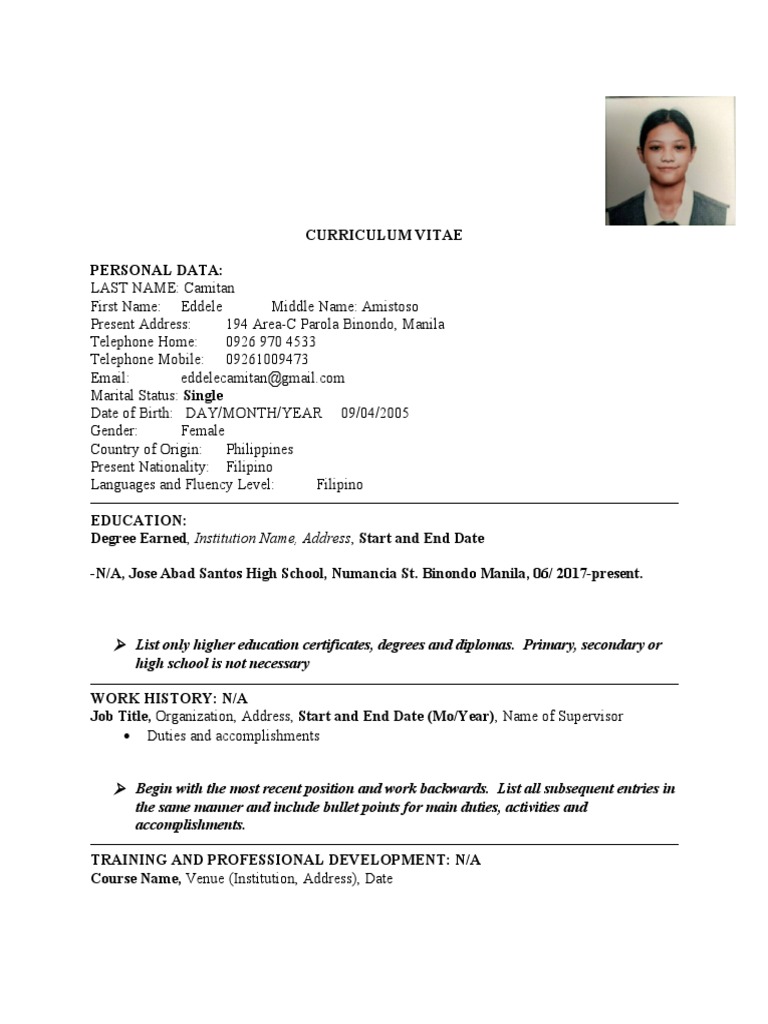 Curriculum-Vitae Template | PDF