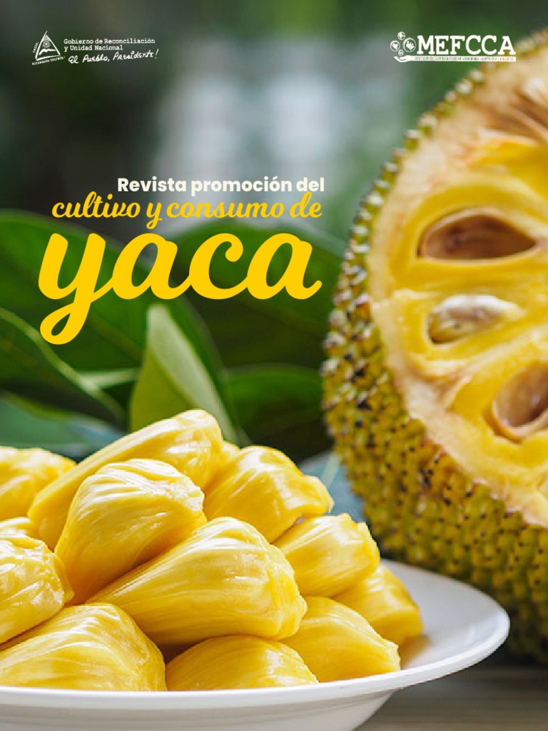 Cultivo y Consumo de Yaca | PDF | Cilantro | Postres