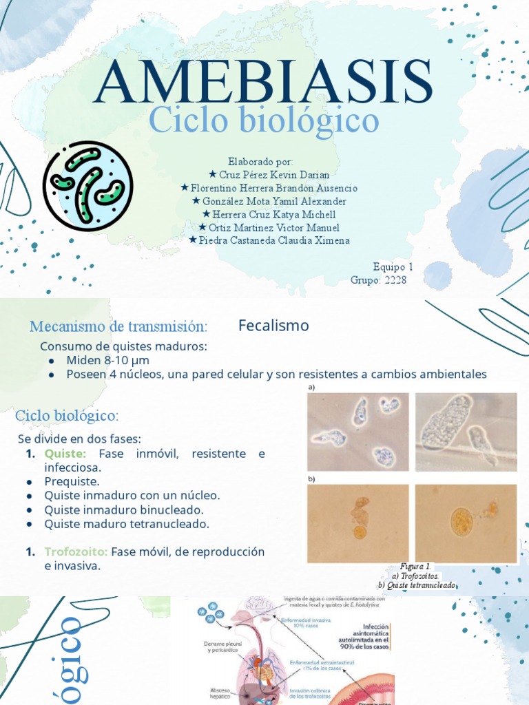 Ciclo biológico_ Amebiasis. | PDF | Causas de la muerte | Sistema digestivo