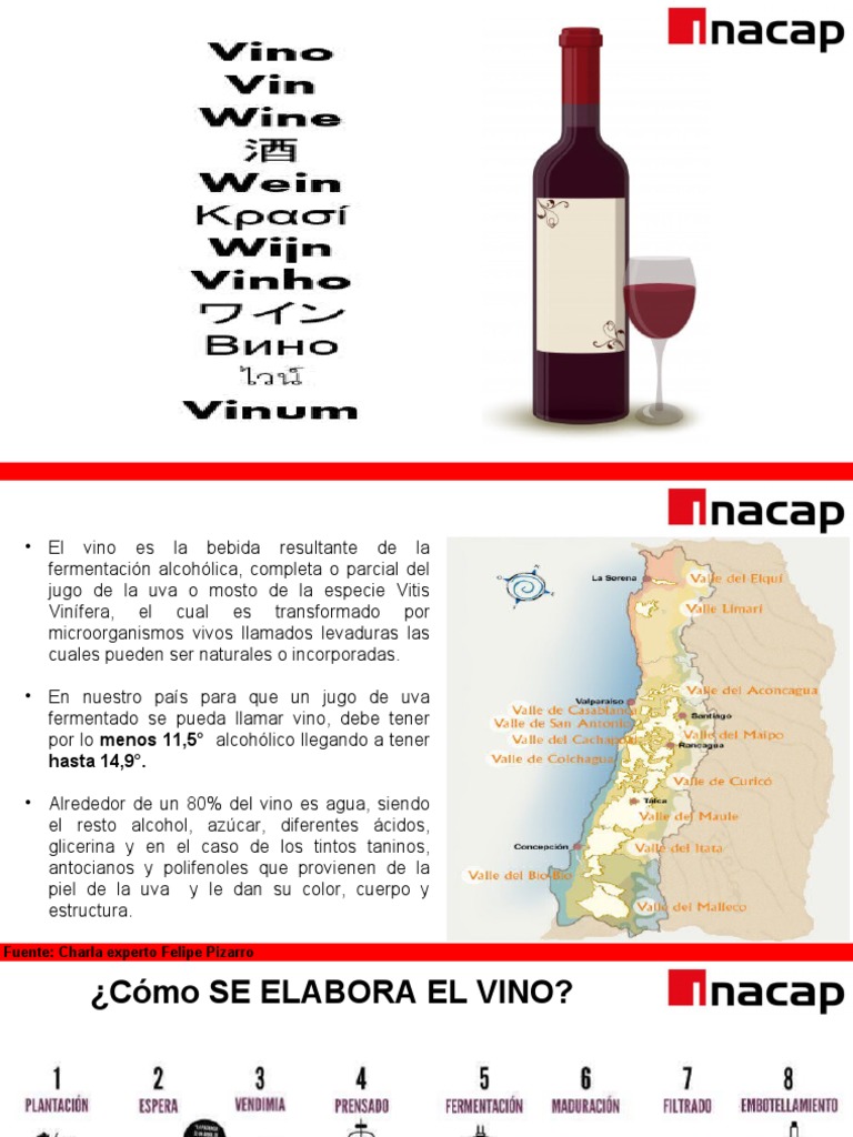 2.1 Vinos | PDF | Vino | Uva