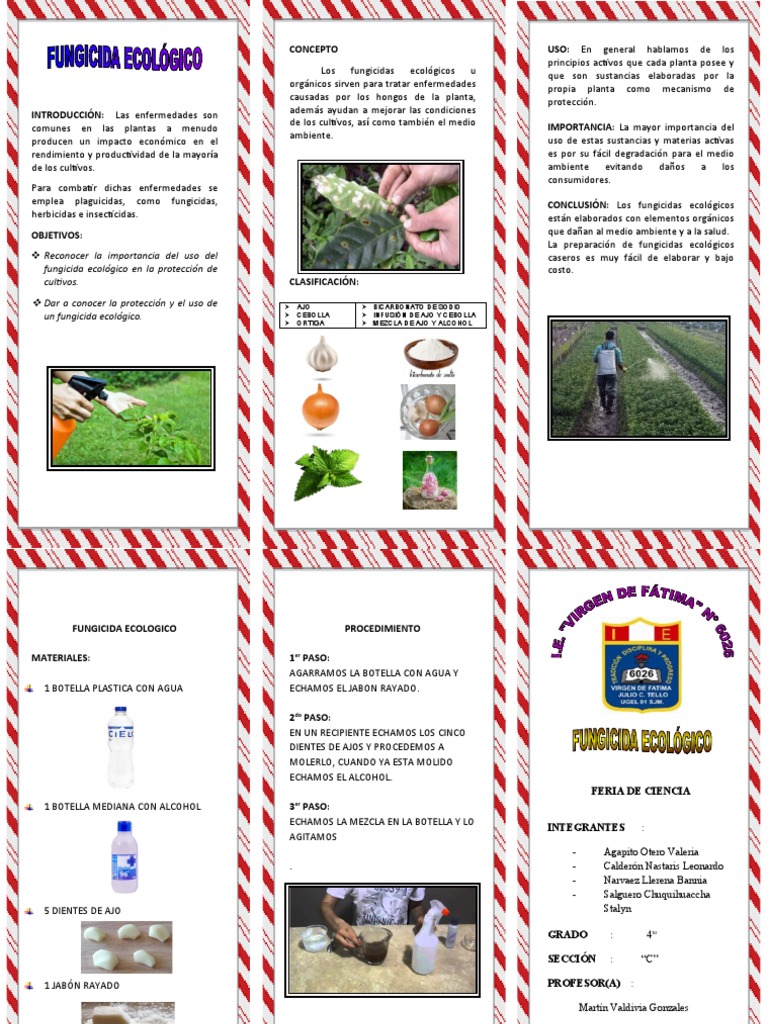 Triptico - Fungicida Ecologico | PDF | Ajo