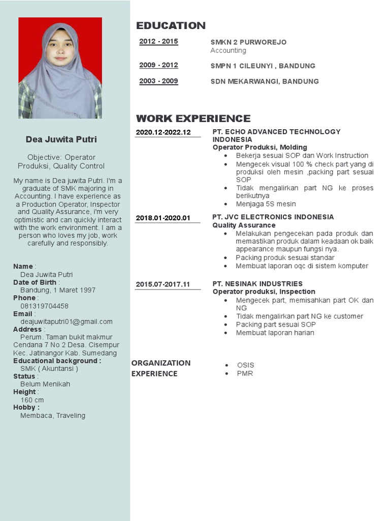 CV Dea Juwita 2023 | PDF