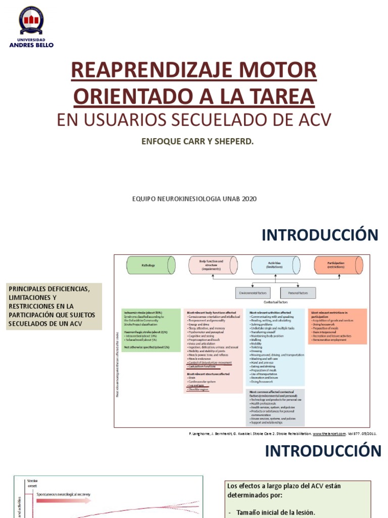 Semana 7 Carr y Sheperd 2023 | PDF | Carrera | Aprendizaje