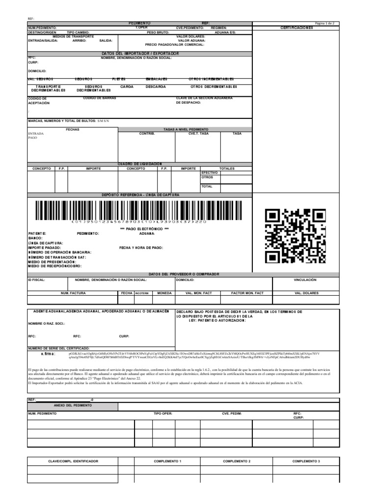 Formato de Pedimento de Importación | PDF | aduana | Economias
