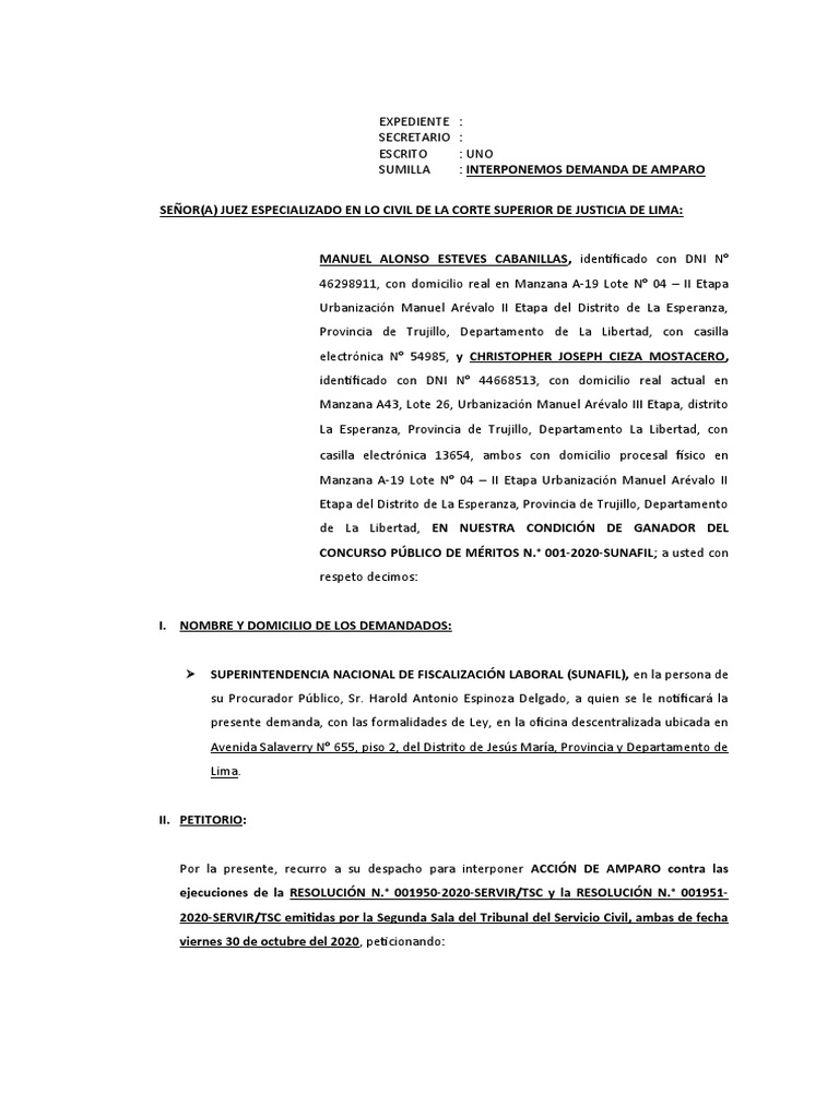 Accion de Amparo Final | PDF | Debido al proceso | Derecho Constitucional