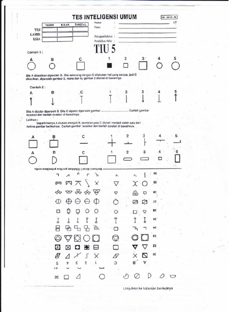 Tes Inteligensi Umum | PDF