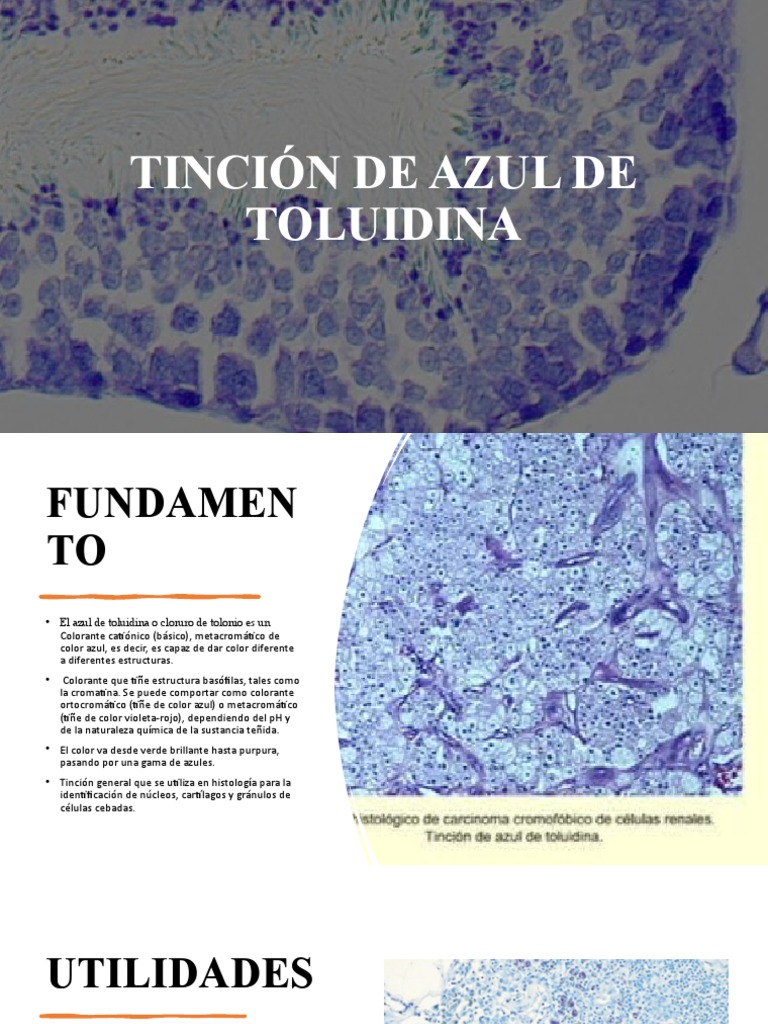 Tinción de Azul de Toluidina Fundamento | PDF