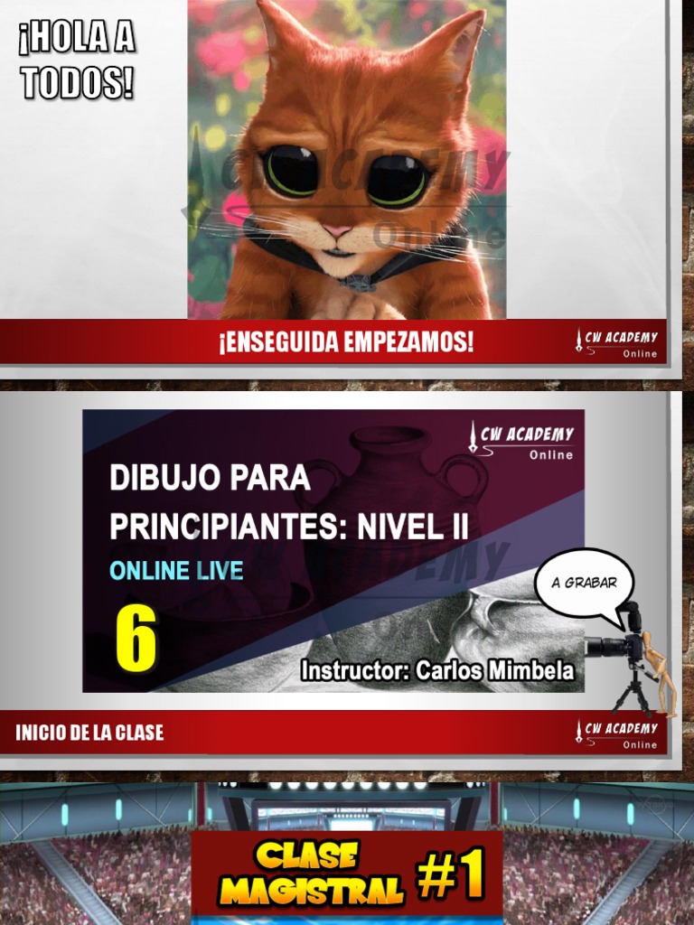 Proyecto Seven: Animales y Taller Gato | PDF