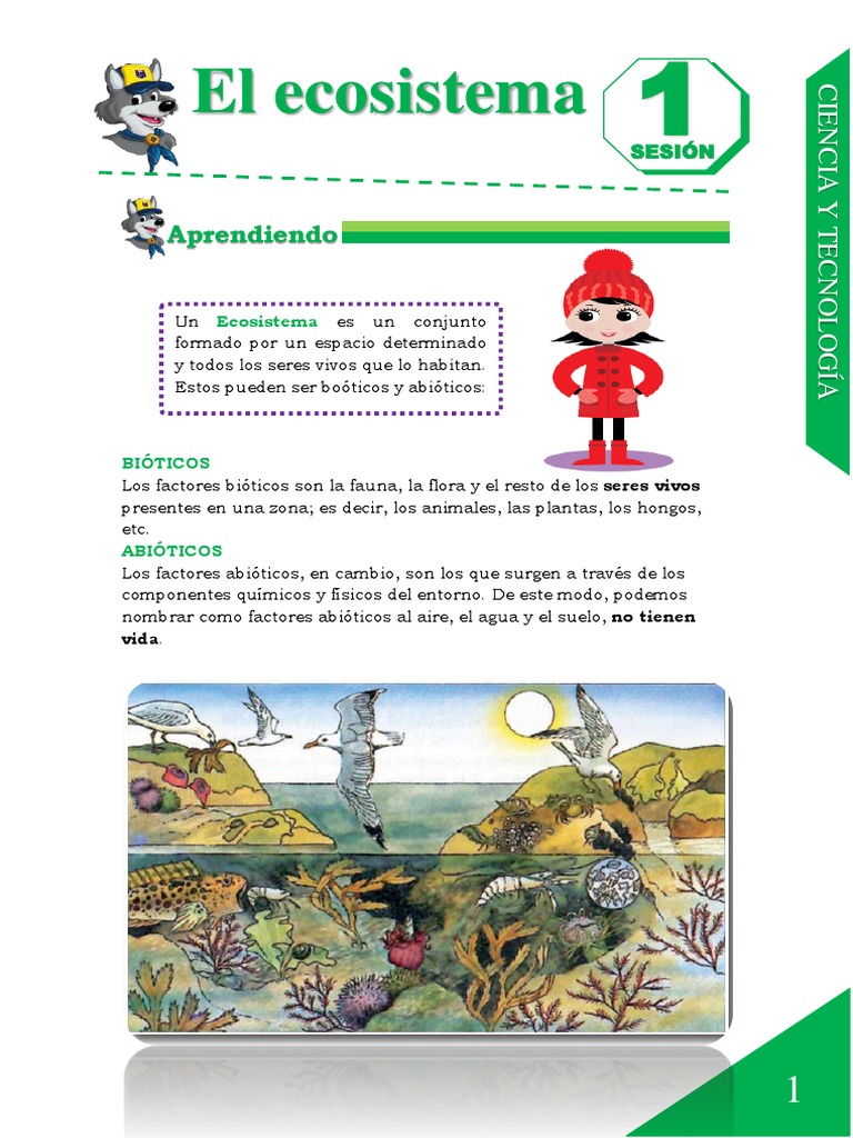 Ecosistemas para Segundo Grado | PDF | Ecosistema | Conservación del medio ambiente