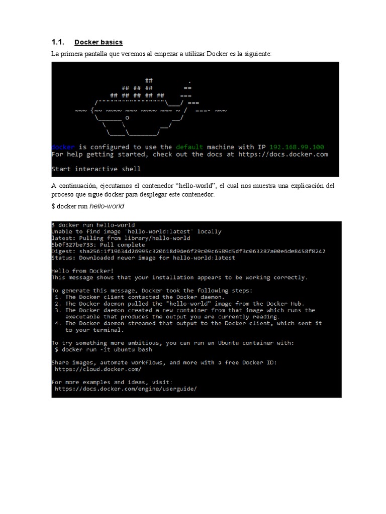 Docker Basics | PDF | Informática | Software del sistema