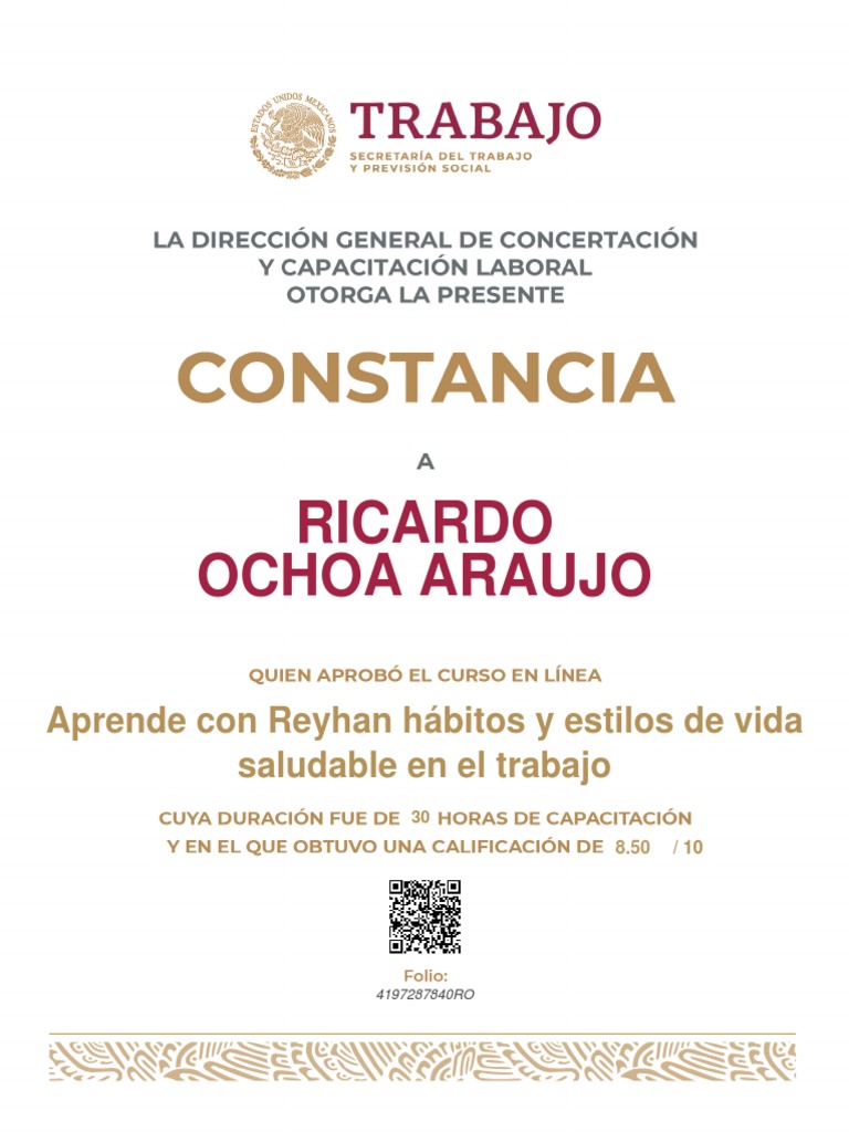 635 Ricardo Ochoa Araujo Aprende Con Rehyan Habitos y Estilos de Vida | PDF