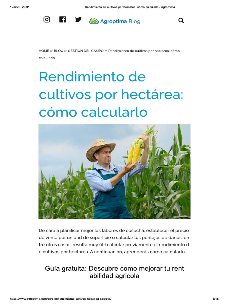 Rendimiento de Cultivos Por Hectárea - Cómo Calcularlo - Agroptima | PDF