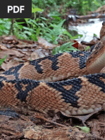 Termogenesis y Termolisis PDF | PDF | Agua | Termorregulación