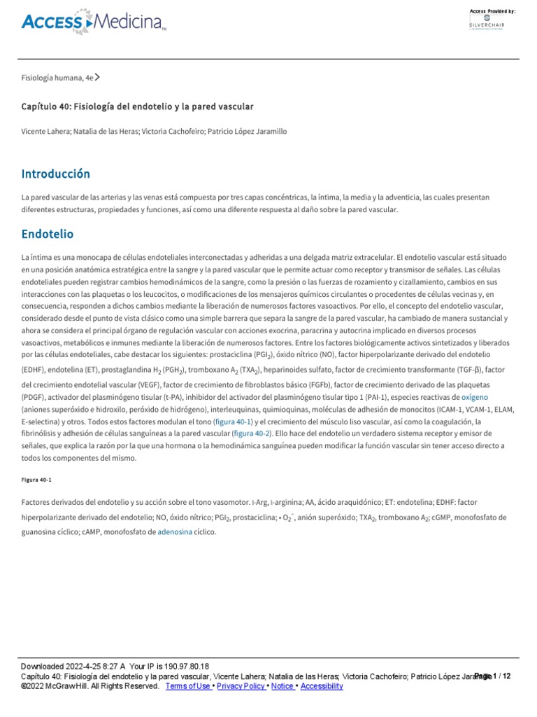 Capítulo 40 - Fisiología Del Endotelio y La Pared Vascular | PDF ...